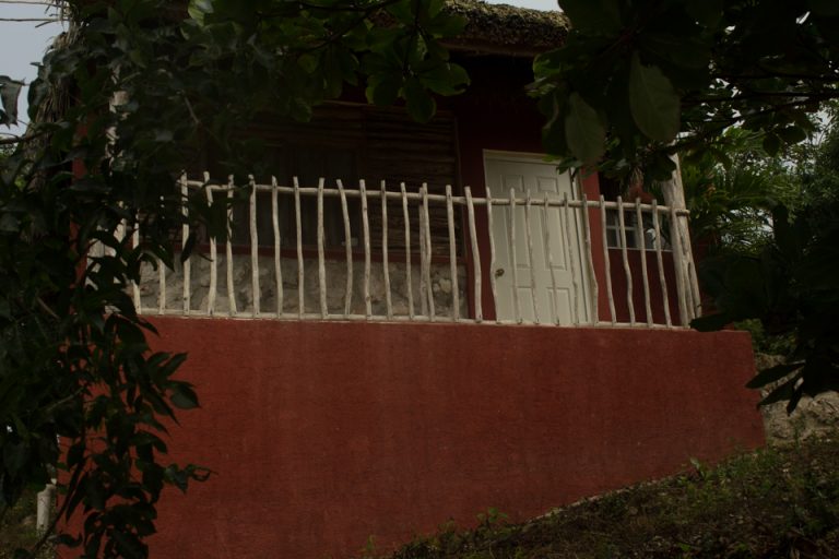 Cenotillo: Un Tesoro Natural Escondido en Yucatán – Co'ox Mayab