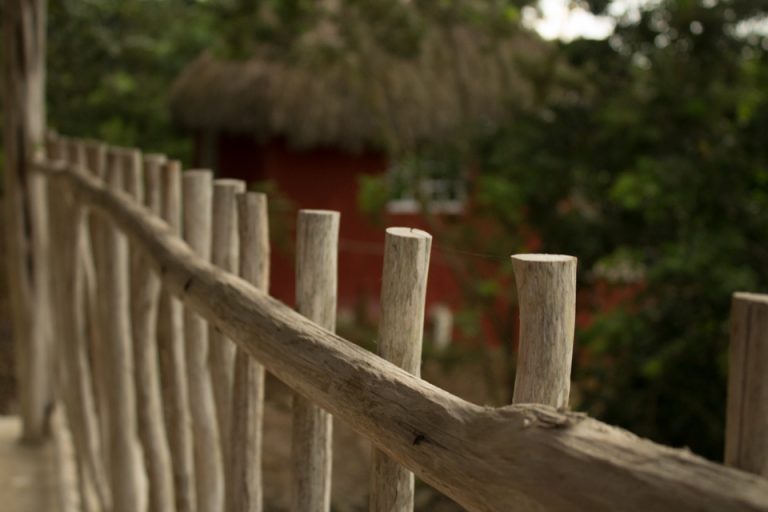 Cenotillo: Un Tesoro Natural Escondido en Yucatán – Co'ox Mayab