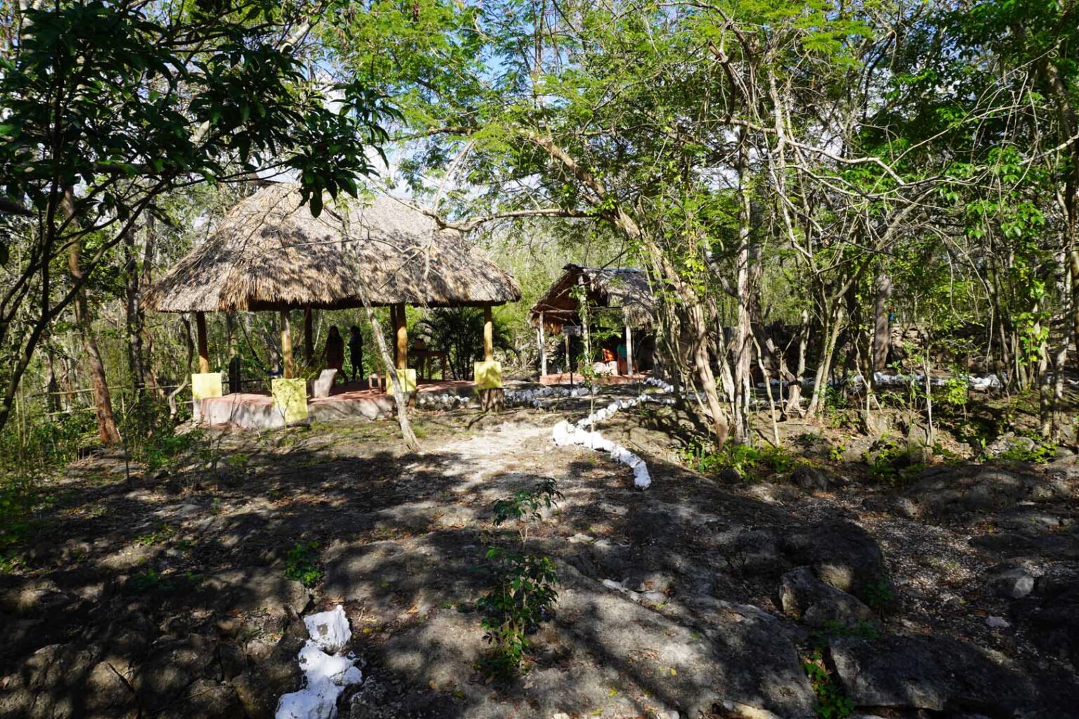 Cenotillo: Un Tesoro Natural Escondido en Yucatán – Co'ox Mayab