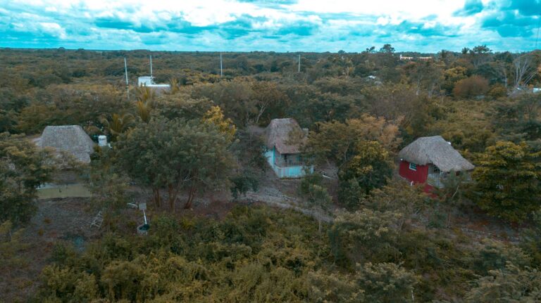 Cenotillo: Un Tesoro Natural Escondido en Yucatán – Co'ox Mayab