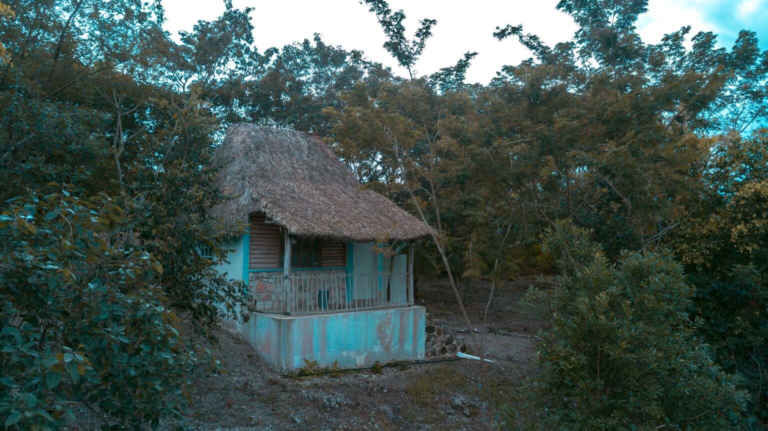 Cenotillo: Un Tesoro Natural Escondido en Yucatán – Co'ox Mayab