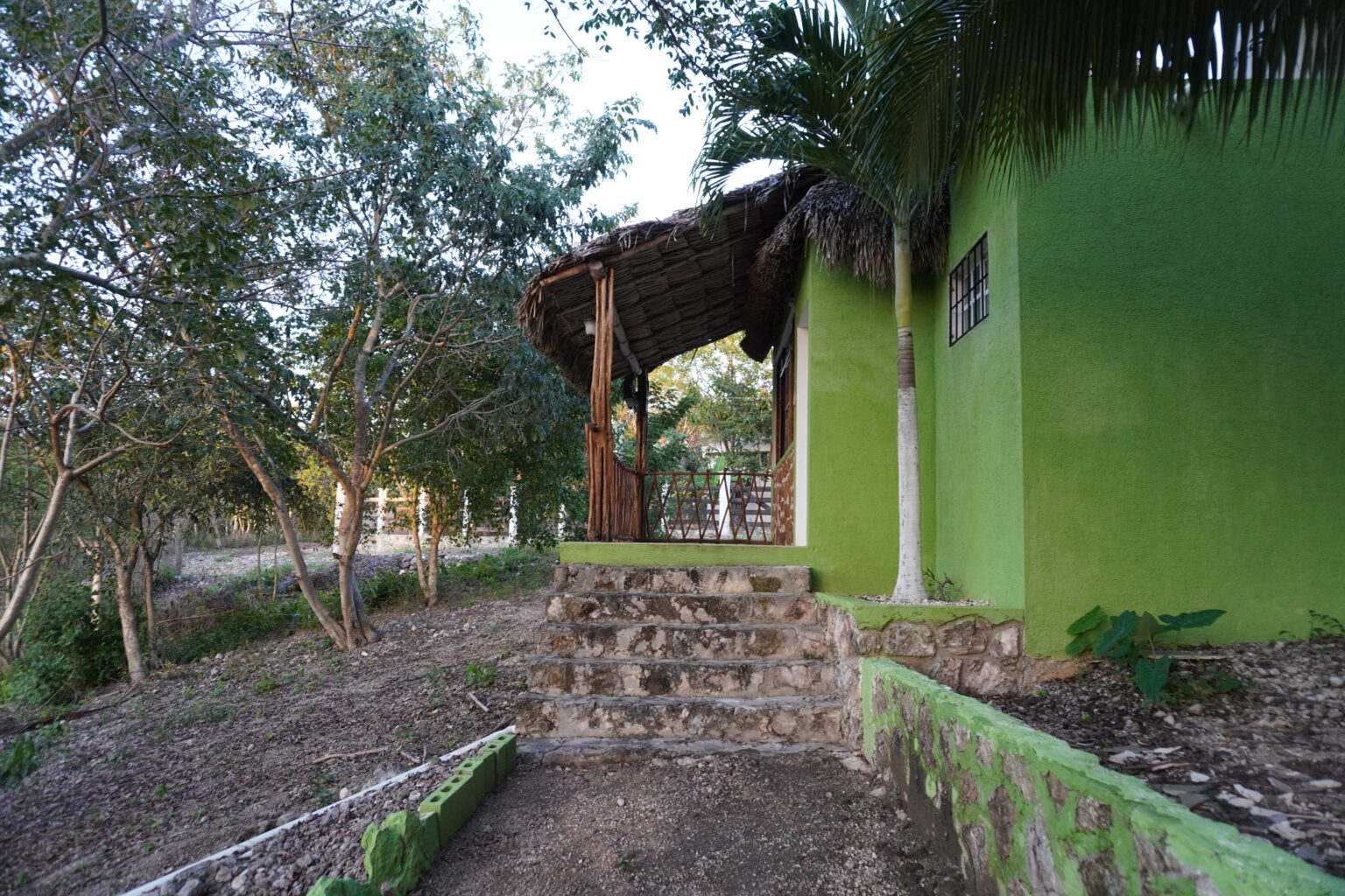 Cenotillo: Un Tesoro Natural Escondido en Yucatán – Co'ox Mayab